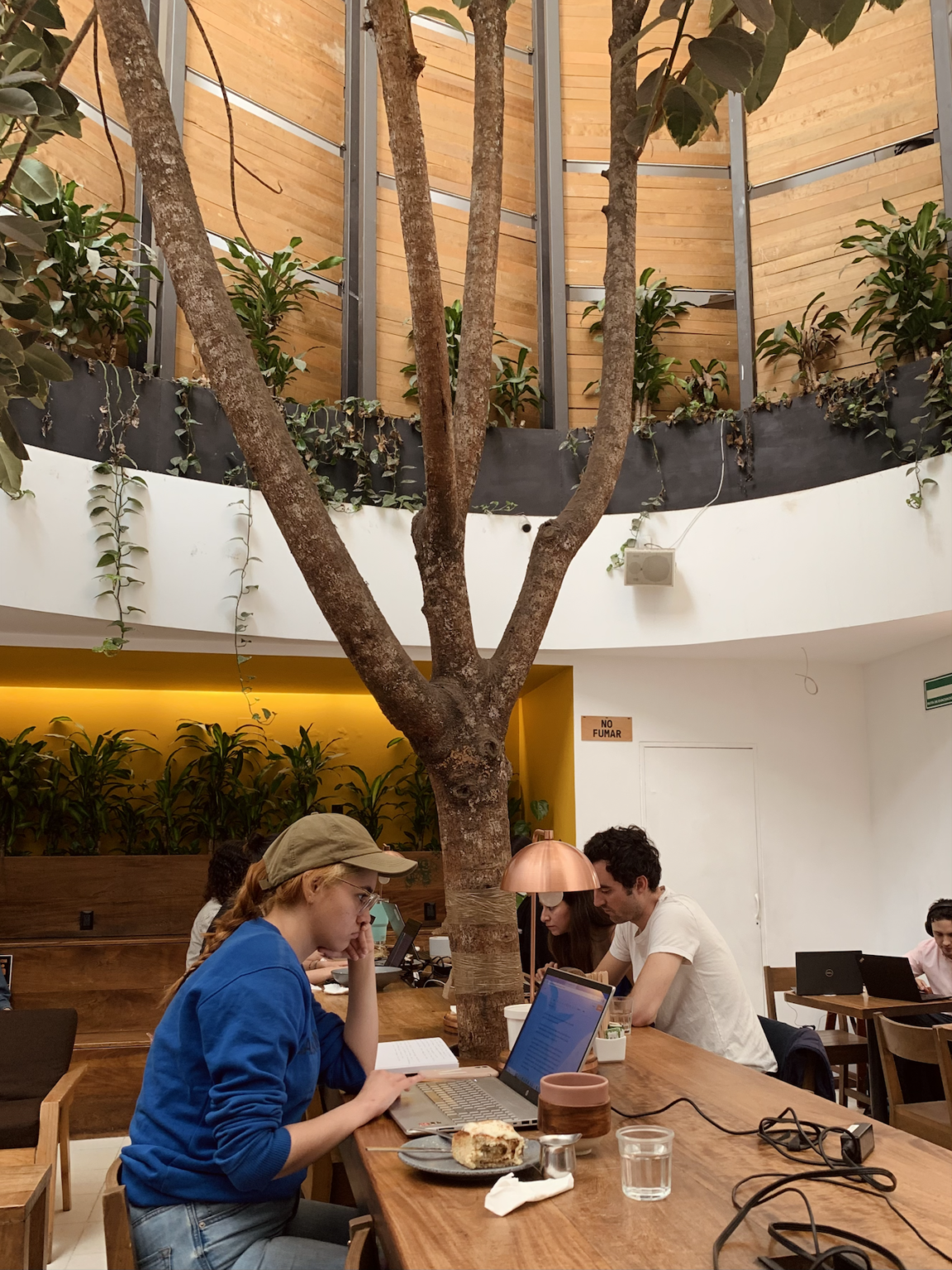 H1> Mis elegidos: 10 cafés en CDMX para trabajar remoto
